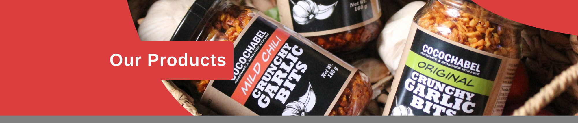 Garlic Chips – Cocochabel Food Trading